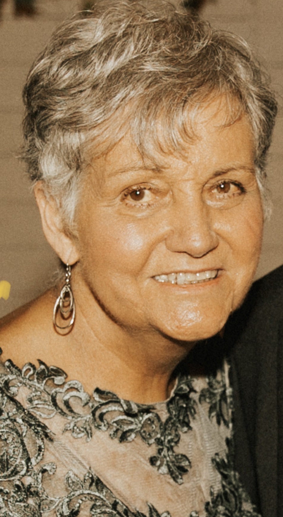 Sandra Jean Venier - Michigan Memorial Funeral Home